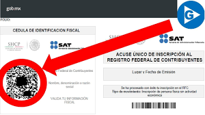 ⊛ Cómo saber cuál es la homoclave de mi RFC en México【2022